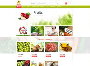 Portfolio | Technology and Marketing | Pattronize InfoTech